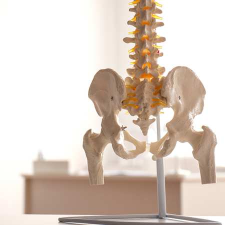 Lokalisation | Prellung